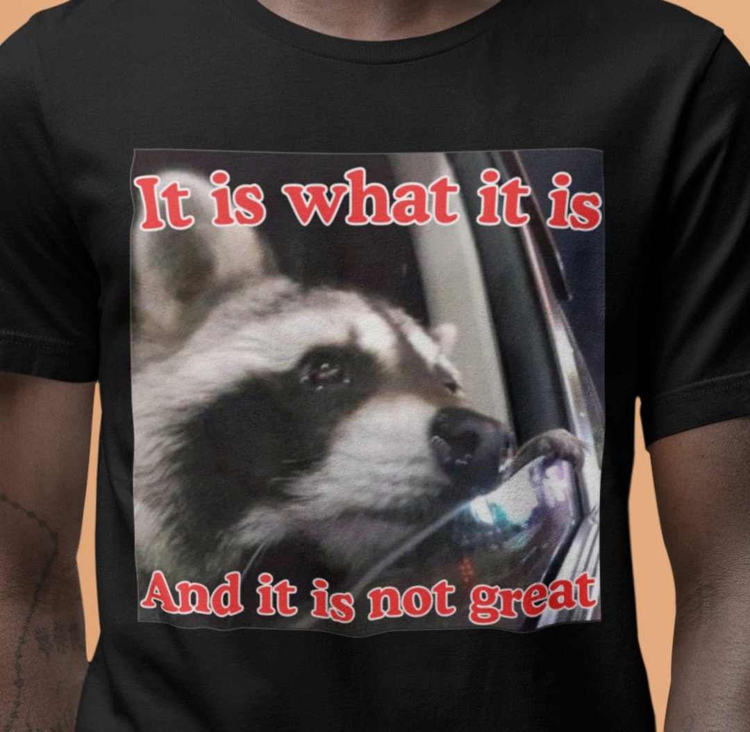 It is What It is and It is Not Great / Crying Raccoon Dank Meme Quote ...