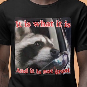It is What It is and It is Not Great / Crying Raccoon Dank Meme Quote ...
