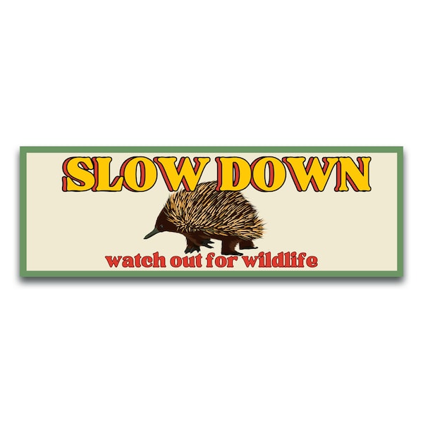 Watch Slow Down - Etsy New Zealand