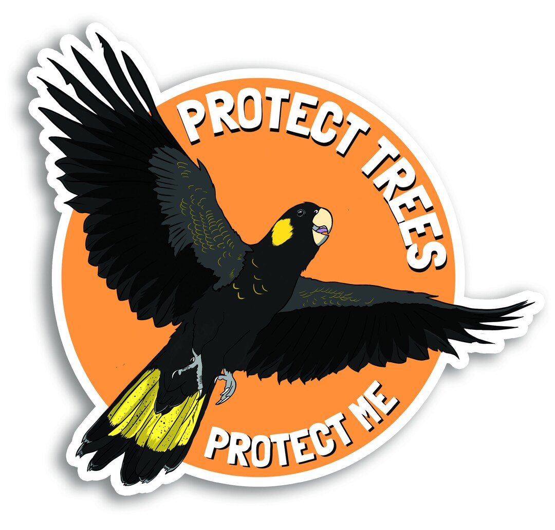 Yellow-tailed Black Cockatoo Sticker Black Cockatoo Sticker Australian ...