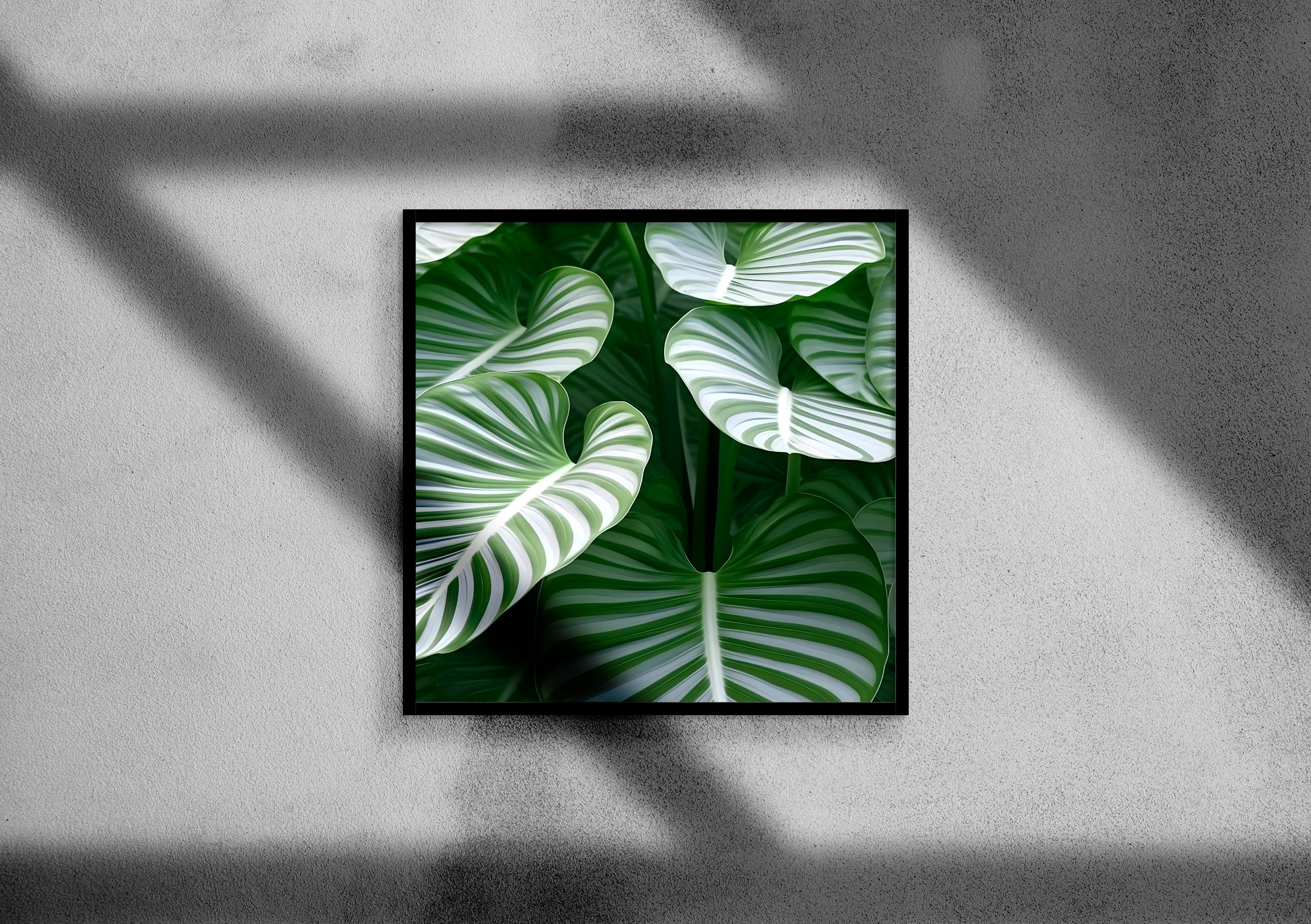 Calathea Plant HD Digital Download - Etsy