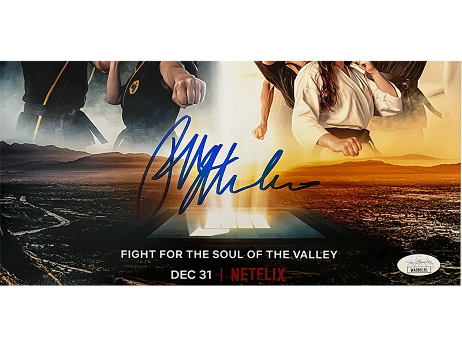 Ralph Macchio Autographed the Karate Kid Cobra Kai Color 11x14 Photo ...