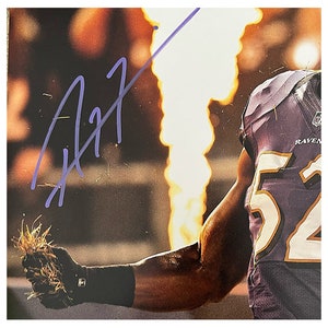 Ray Lewis Autographed Baltimore Ravens 11x14 Photo JSA - Etsy