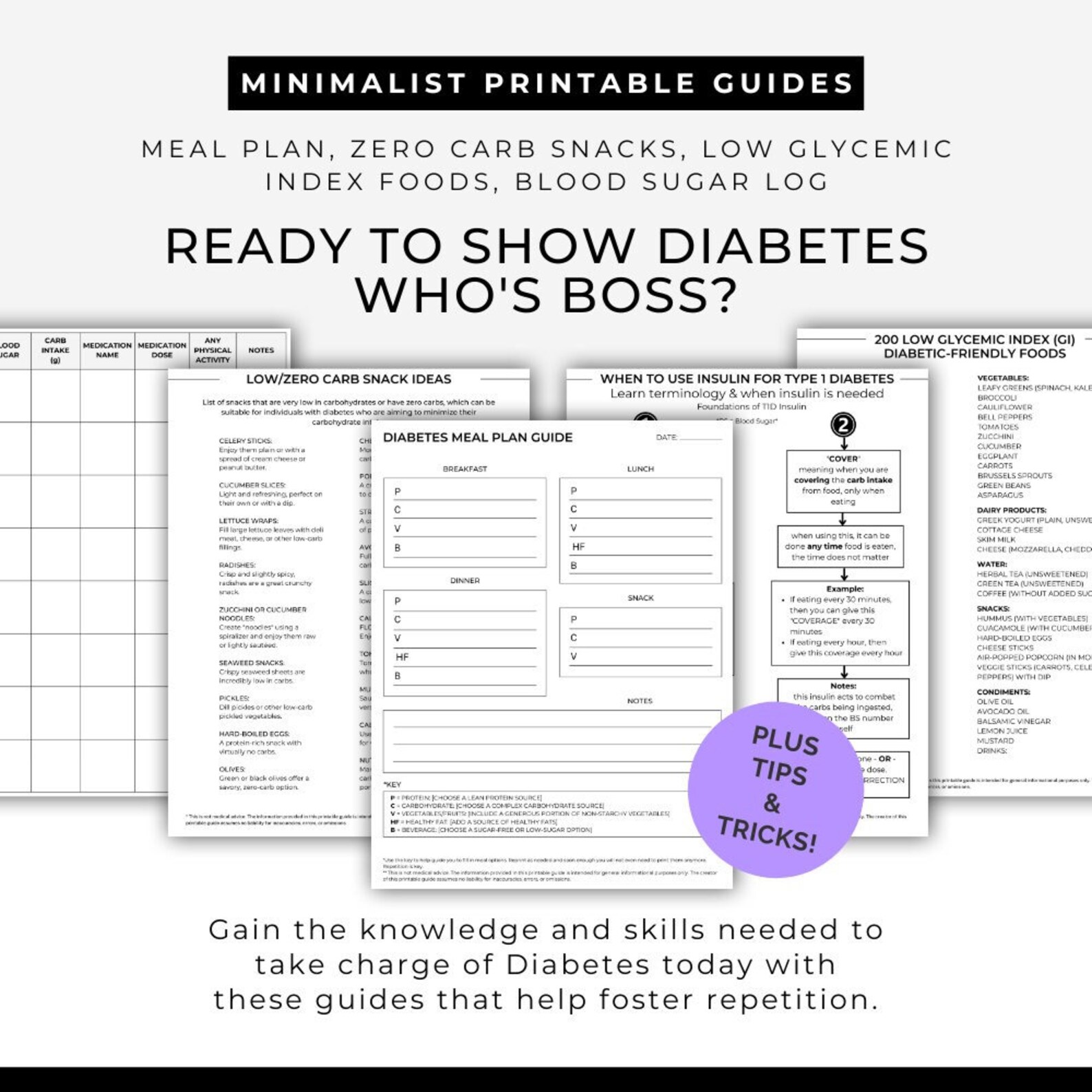 Diabetes Meal Plan Diabetic Food List Diabetic Food Chart Etsy Australia