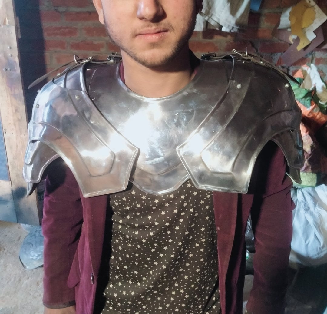 Vaan Shoulder is Divided in Four Segments for Increasing Mobility. You ...