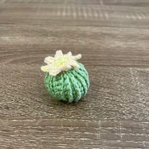 Crochet Cactus Pattern: Home Decor Plant Set (PDF Pattern) - Etsy
