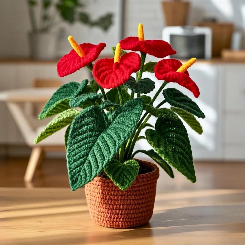 Anthurium - Etsy