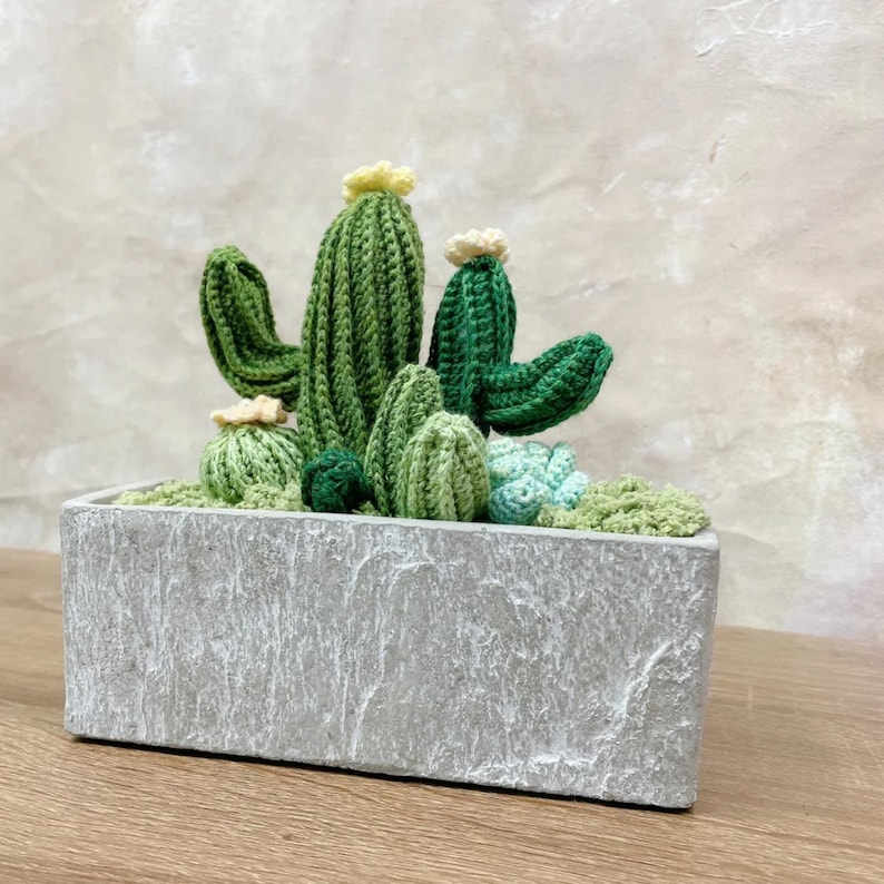 Crochet Cactus Pattern: Home Decor Plant Set (PDF Pattern) - Etsy