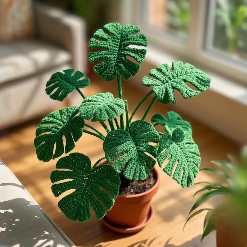 Monstera Bonsai Plant - Etsy