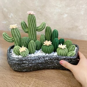 Crochet Cactus Pattern: Home Decor Plant Set (PDF Pattern) - Etsy