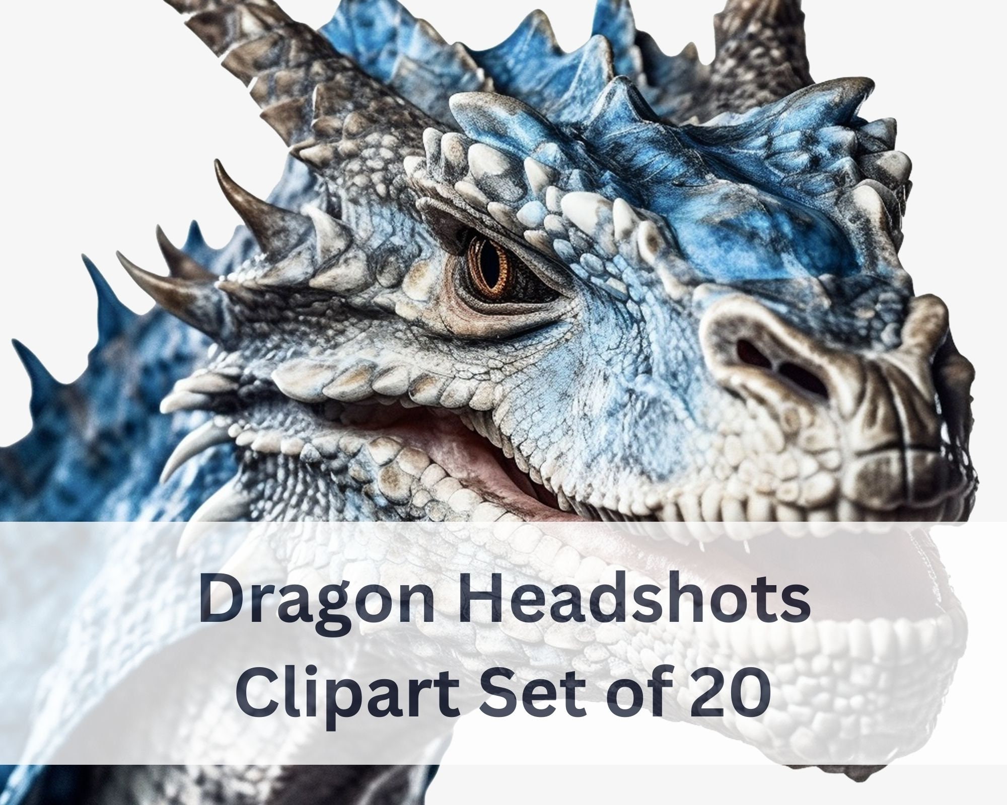 Clipart Bundle X20: Dragon Headshots PNG / Transparent - Etsy