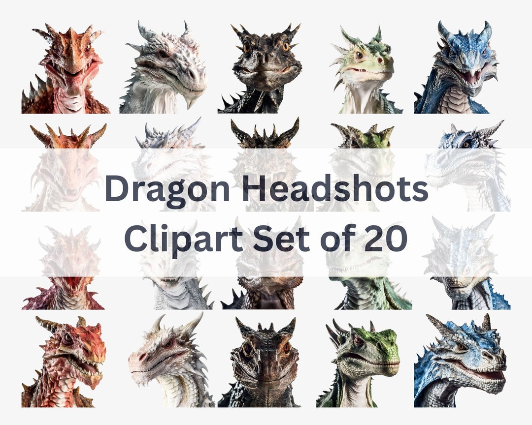 Clipart Bundle X20: Dragon Headshots PNG / Transparent Background ...
