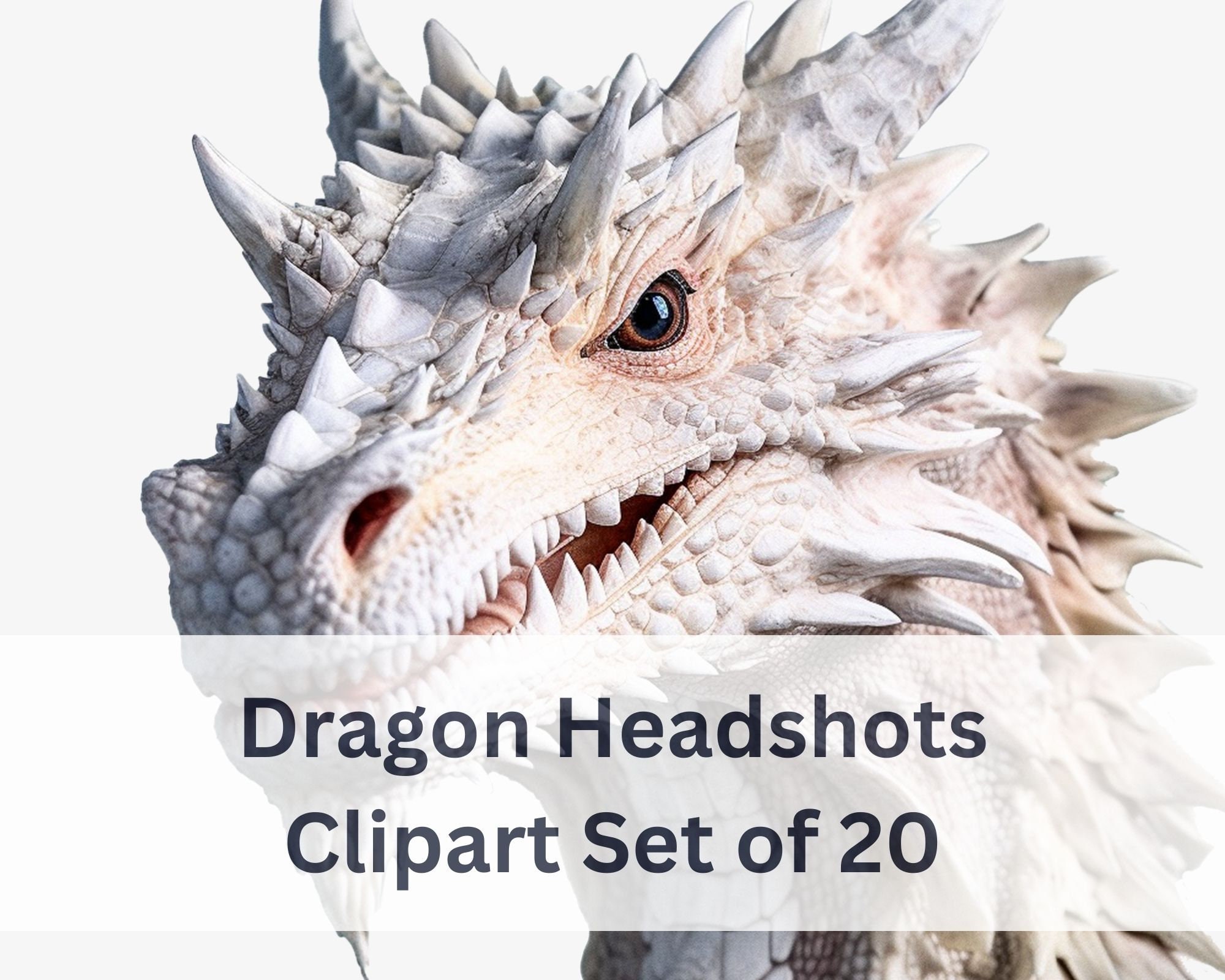 Clipart Bundle X20: Dragon Headshots PNG / Transparent Background ...