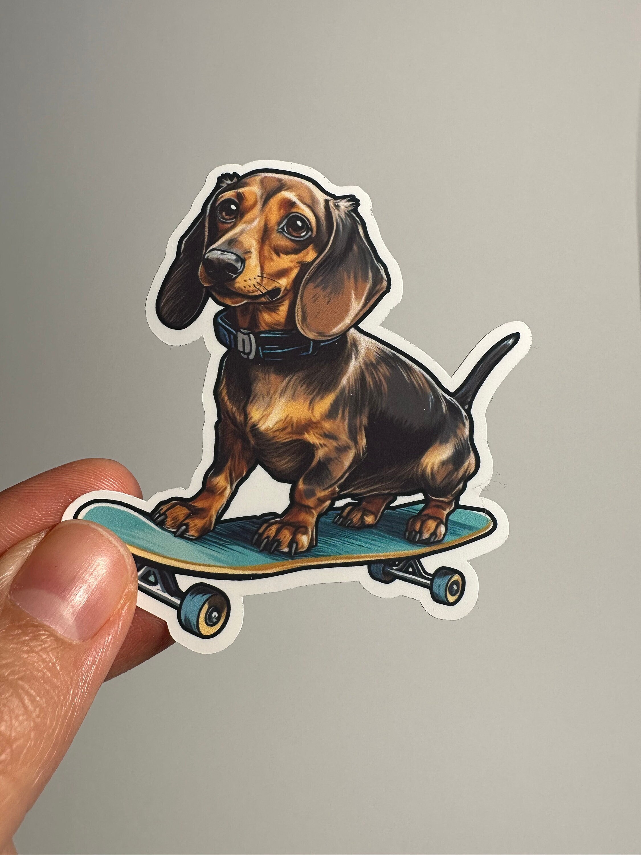 Dachshund Sticker Dackel Hund Vinyle Stickers Waterproof - Etsy