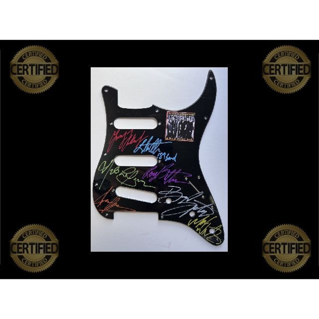 Bruce Springsteen and the E Street Band Stratocaster Electric - Etsy