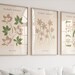Sage Green and Sky Blue Flower Poster, Floral Nursery Decor, Set of 2 ...