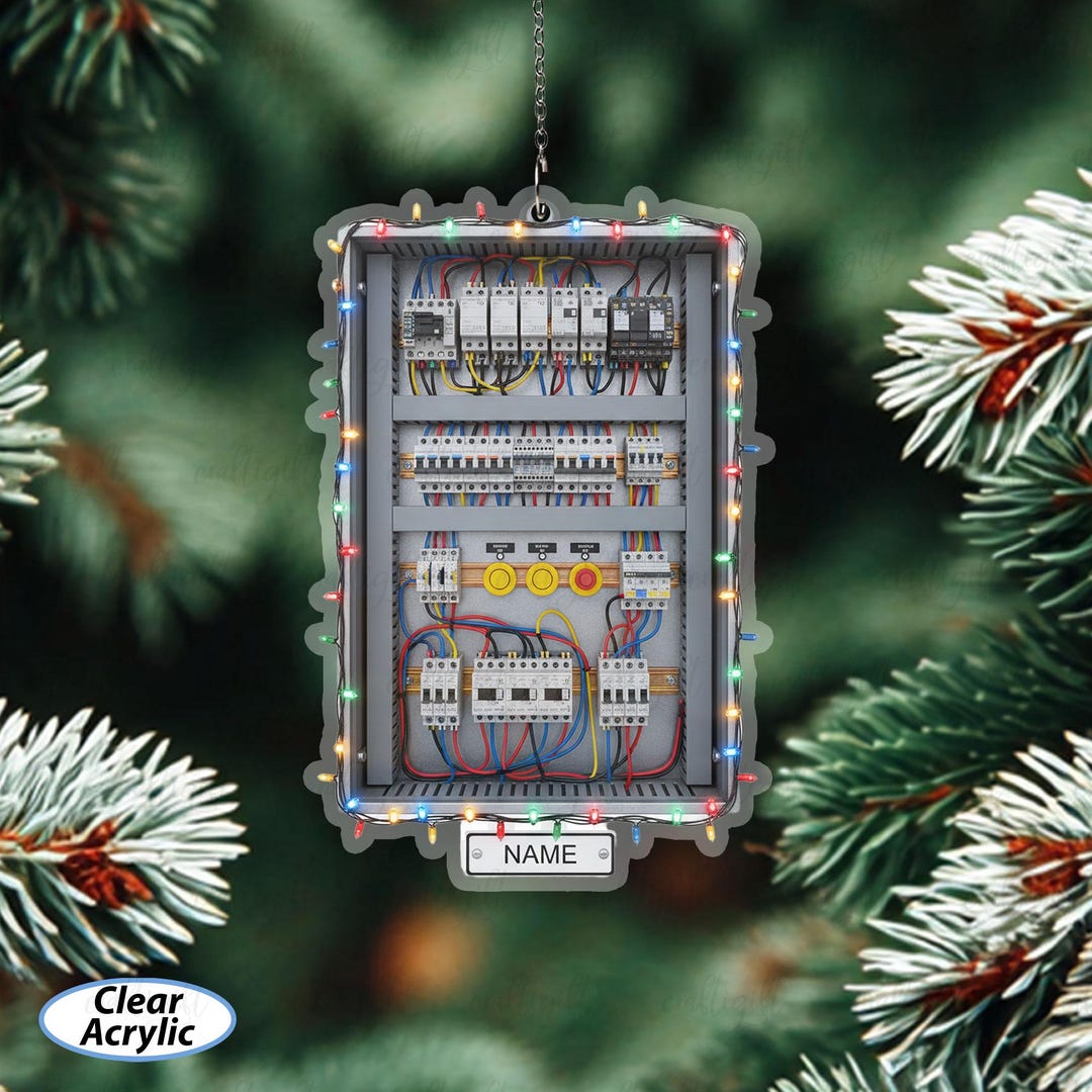 Funny Electrical Panel Ornament for Him, Personalized Control Box ...