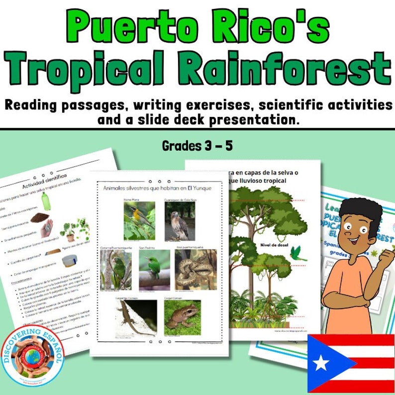 Spanish Tropical Rainforest and Animals Activities Grades 3-5 - Etsy
