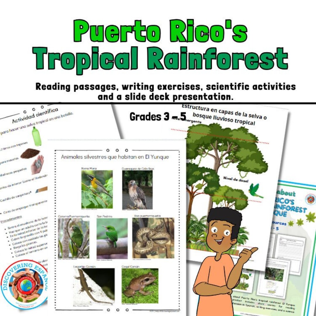 Spanish Tropical Rainforest and Animals Activities Grades 3-5 - Etsy