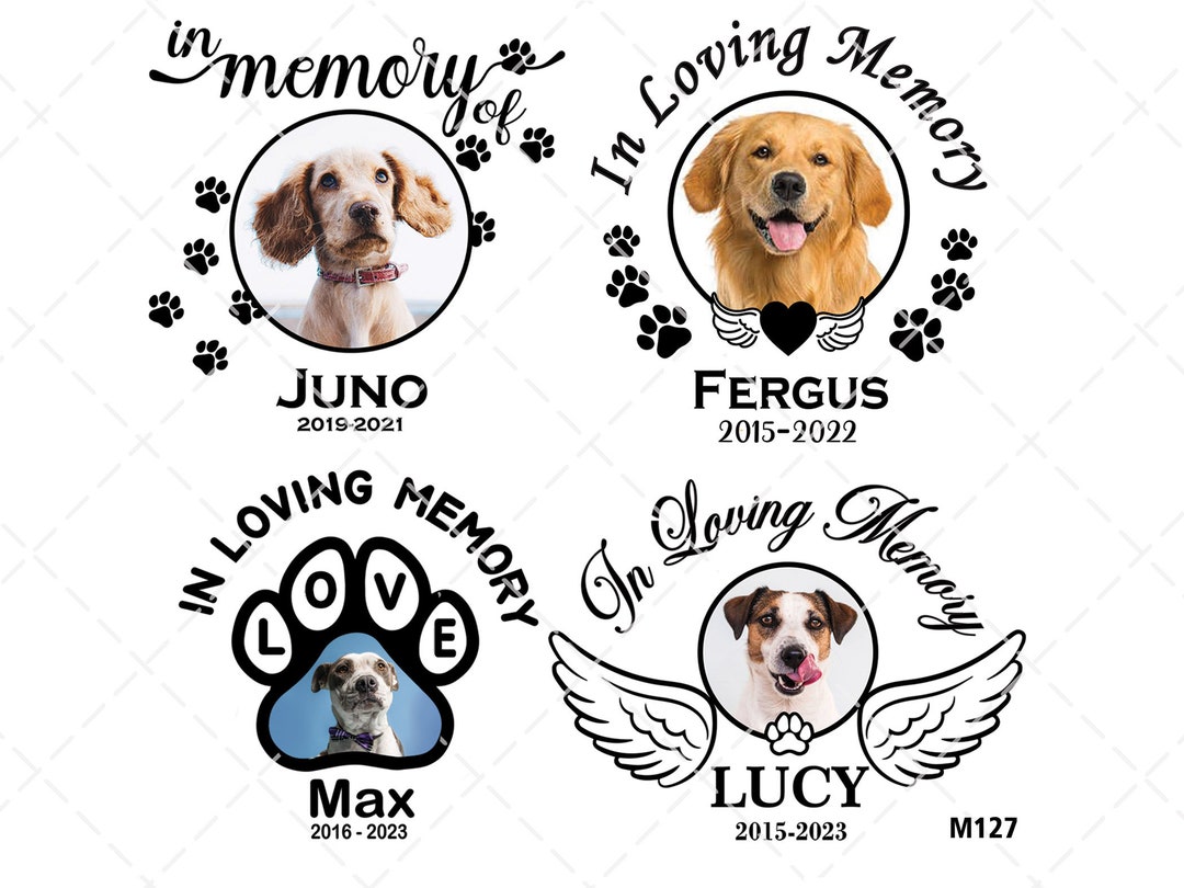 In Loving Memory of Dogs Bundle SVG PNG Pet Memorial Paw Print Svg for ...