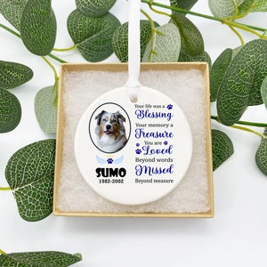 In Memory of Dogs Png, Pet Memorial Png, Dog Loss Png, Dog Memorial Png ...