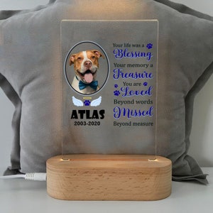 In Memory of Dogs Png, Pet Memorial Png, Dog Loss Png, Dog Memorial Png ...