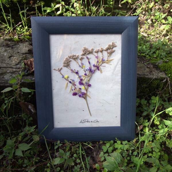 Herbarium Frame - Etsy