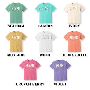Comfort Colors Miami Shirt, Retro Miami Tshirt, Miami Game Day Shirt ...