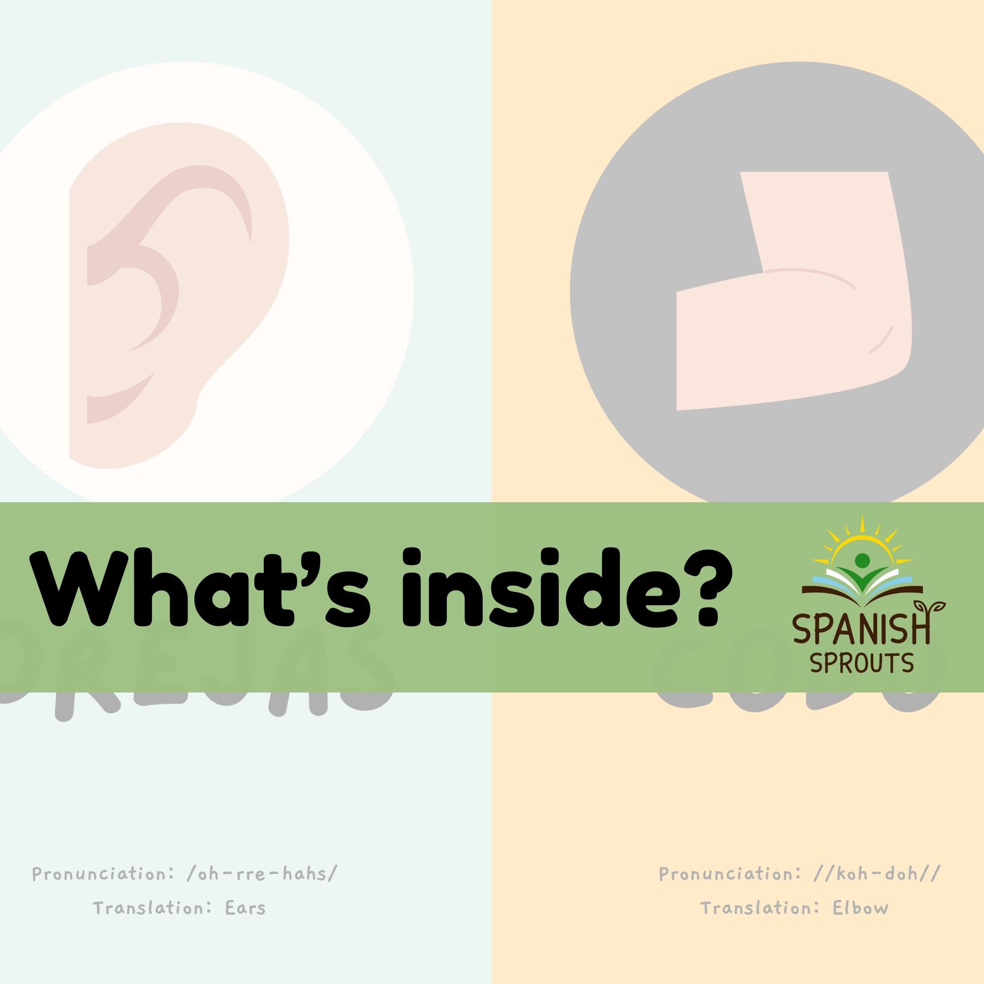 Partes Del Cuerpo: Spanish-english Bilingual Baby Book | Body Parts ...