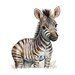 12 Cute Baby Zoo Animals Watercolor Illustration Clipart, PNG, Digital ...