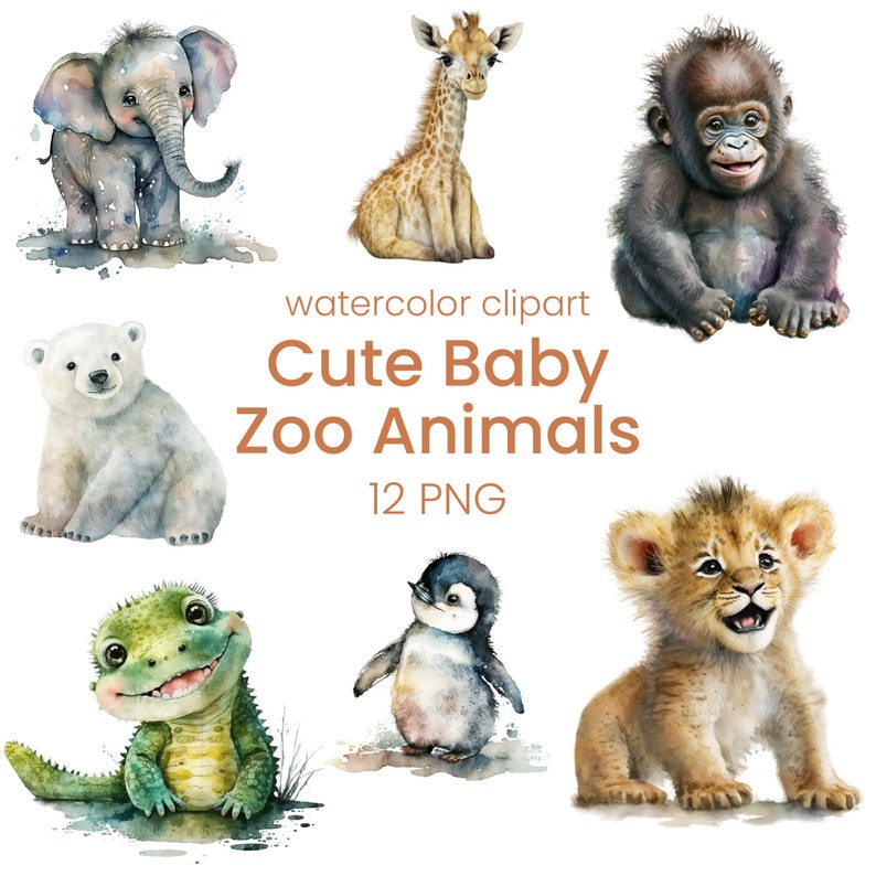 12 Cute Baby Zoo Animals Watercolor Illustration Clipart, PNG, Digital ...