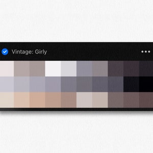 Vintage Girly Procreate Color Palette Procreate Color Palette Brown ...