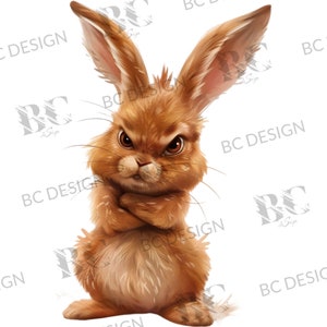 Angry Rabbit PNG Sublimation Design, Bunny Lover, Instant Digital ...