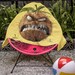 Angry Coconut PNG Sublimation Design, Funny Crazy Coconut Clipart ...