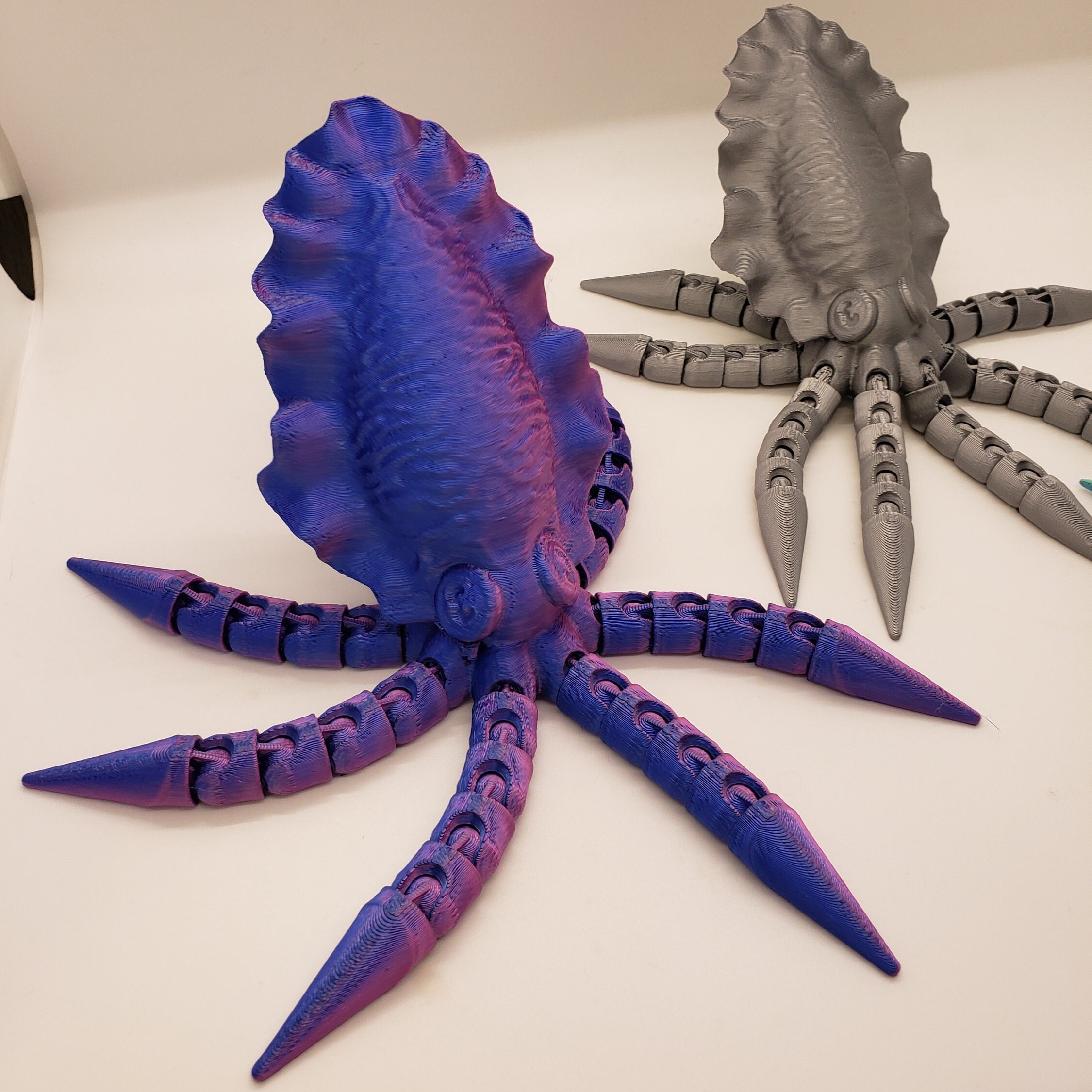 Cuttlefish, Fidget Toy, Cuttlefish, 3d-cuttlefish Print, Articulated - Etsy