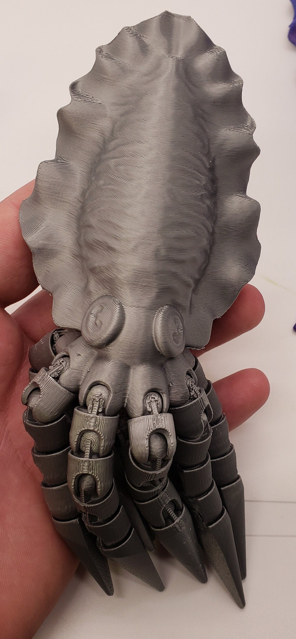 Cuttlefish, Fidget Toy, Cuttlefish, 3d-cuttlefish Print, Articulated - Etsy