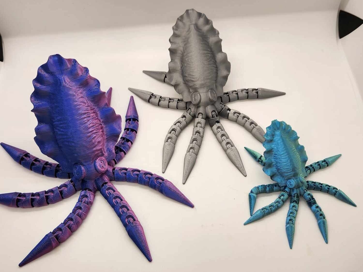 Cuttlefish, Fidget Toy, Cuttlefish, 3d-cuttlefish Print, Articulated - Etsy