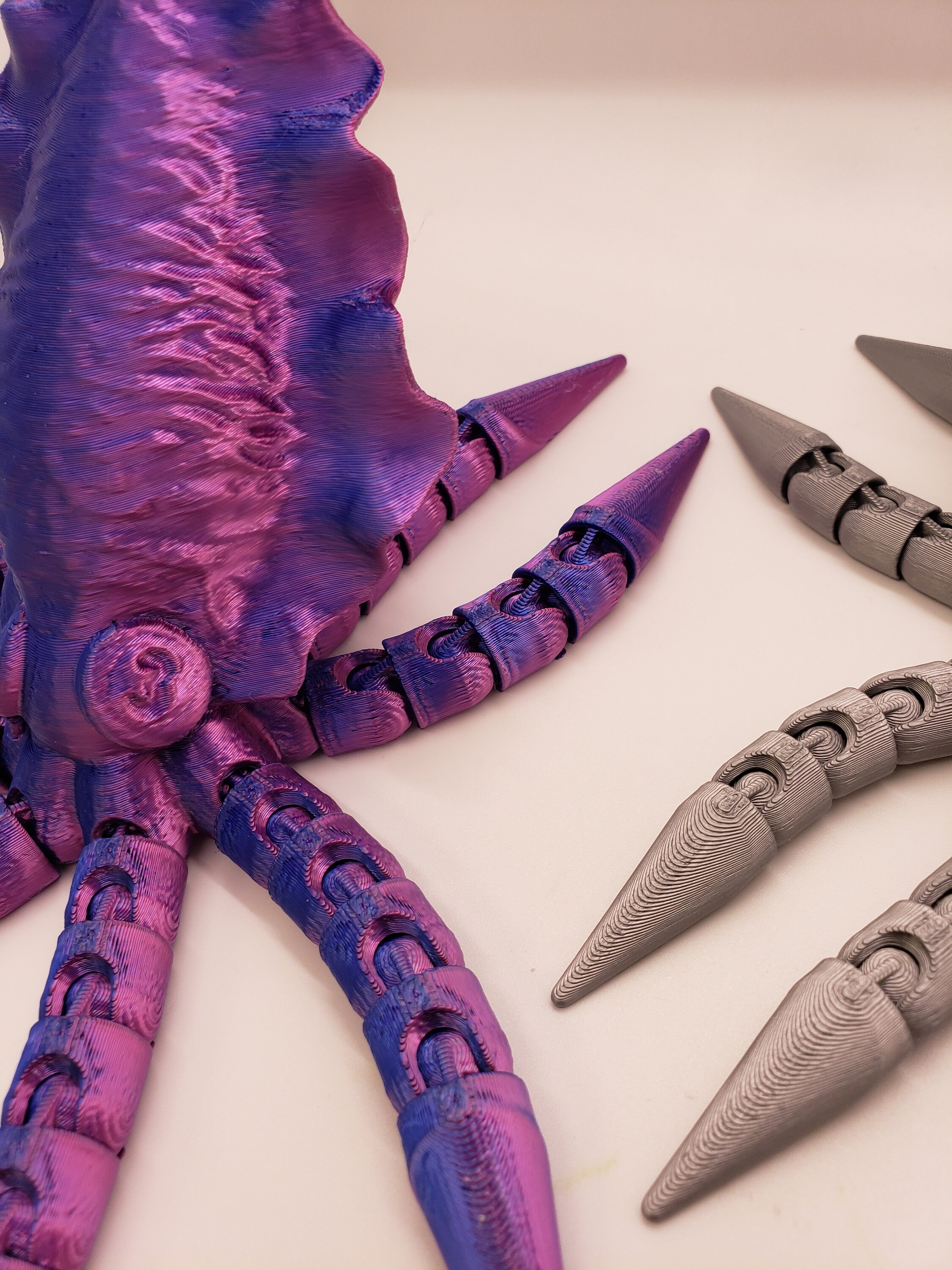 Cuttlefish, Fidget Toy, Cuttlefish, 3d-cuttlefish Print, Articulated - Etsy