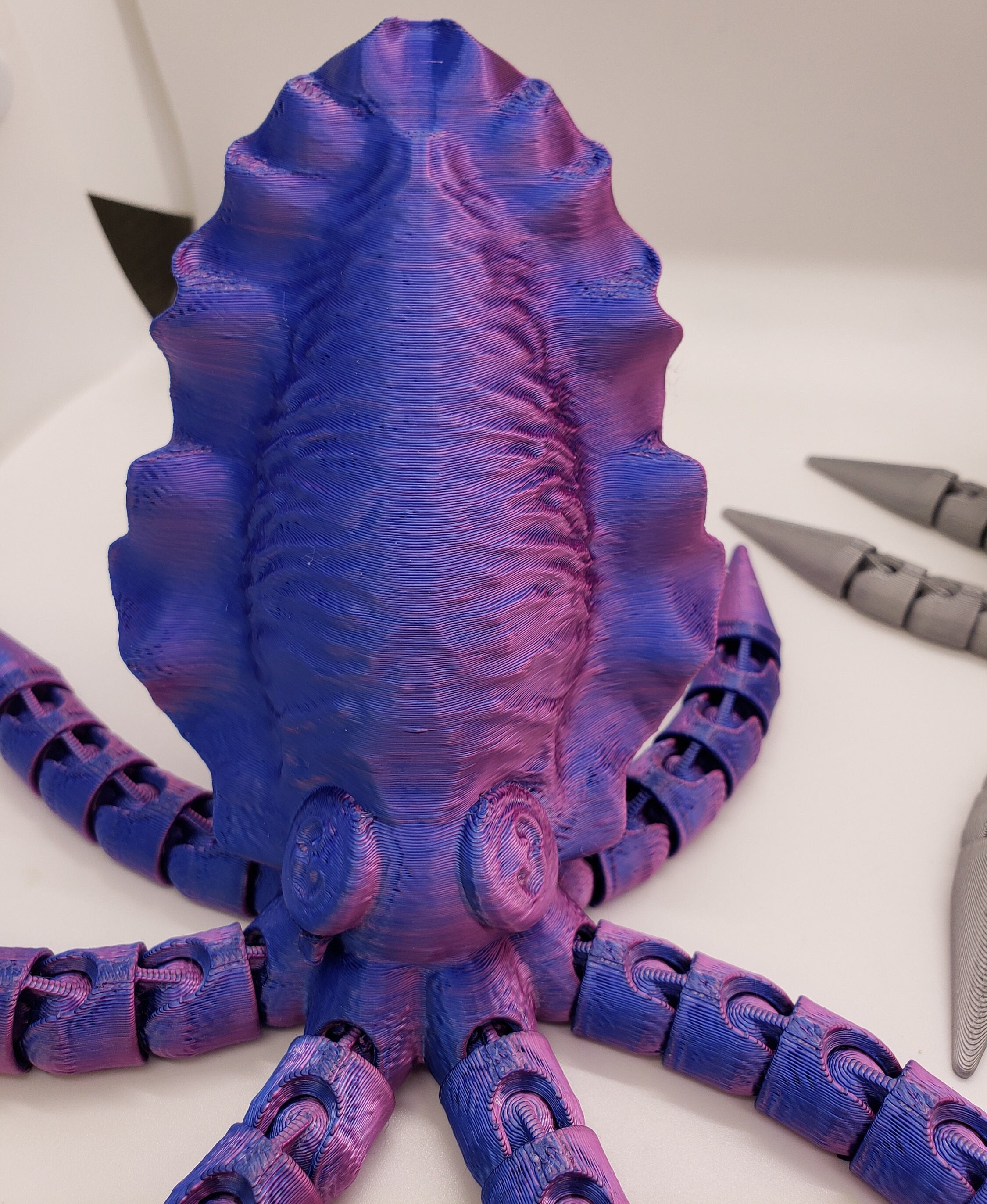 Cuttlefish, Fidget Toy, Cuttlefish, 3d-cuttlefish Print, Articulated - Etsy