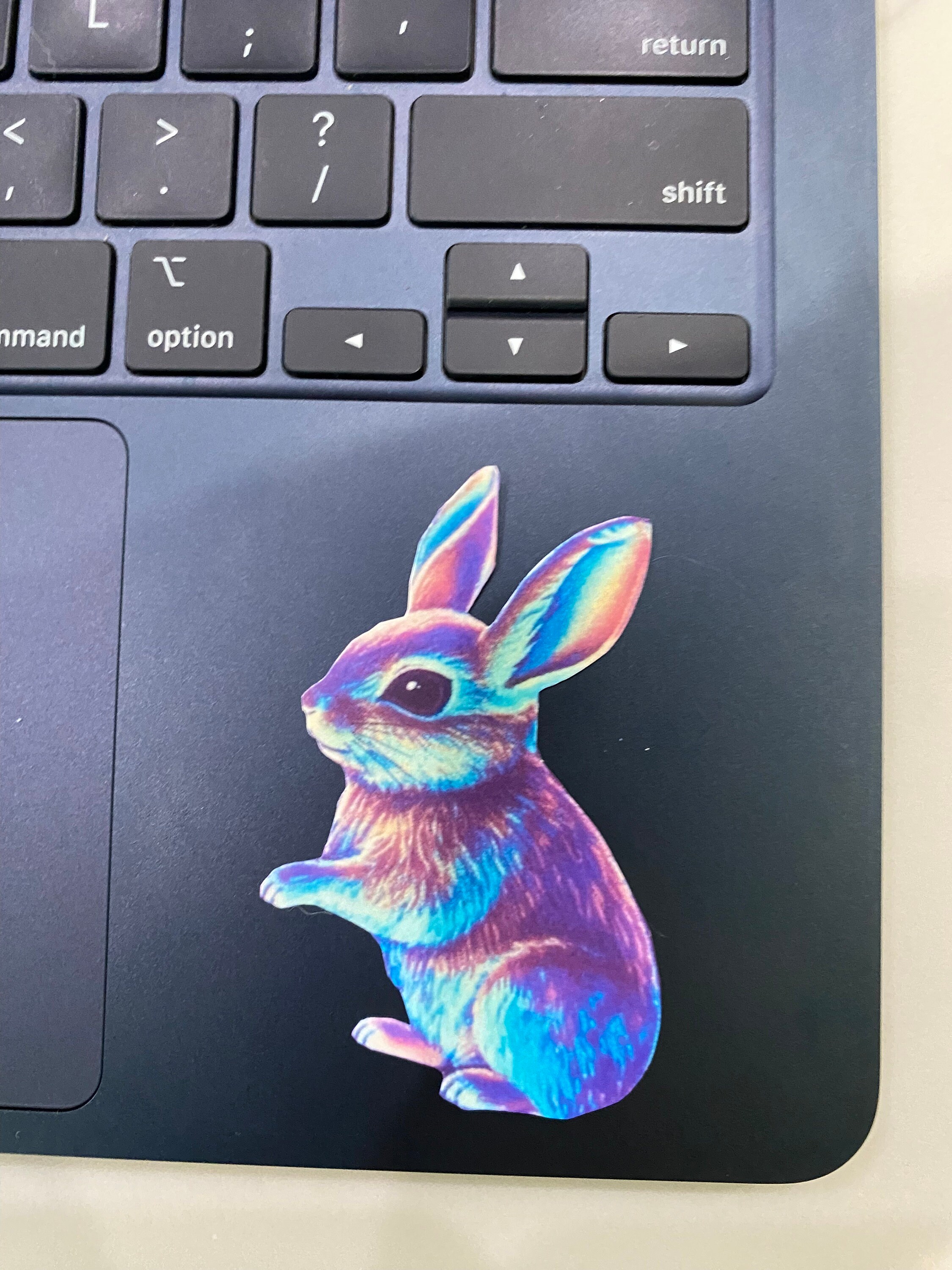 Rainbow Baby Rabbit Sticker High Quality Water Proof Stickers - Etsy