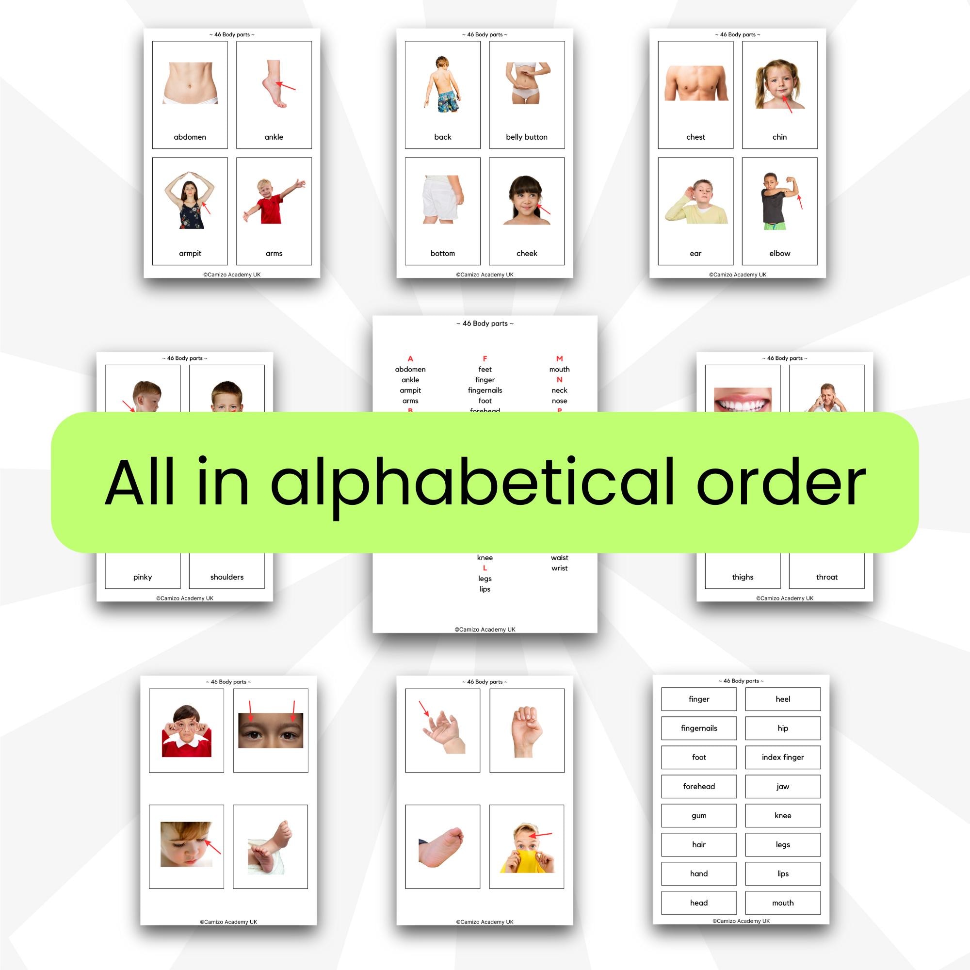 Body Parts Flashcards - 3-part Montessori Cards | Body Parts Kids ...