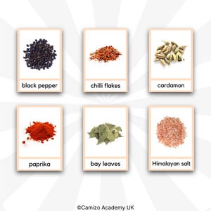 47 Spices & Herbs - 3-part Flashcards Printable | Real Pictures ...
