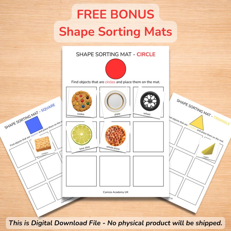 Montessori Shape Sorting Cards Printable, Preschool Shapes Activity ...