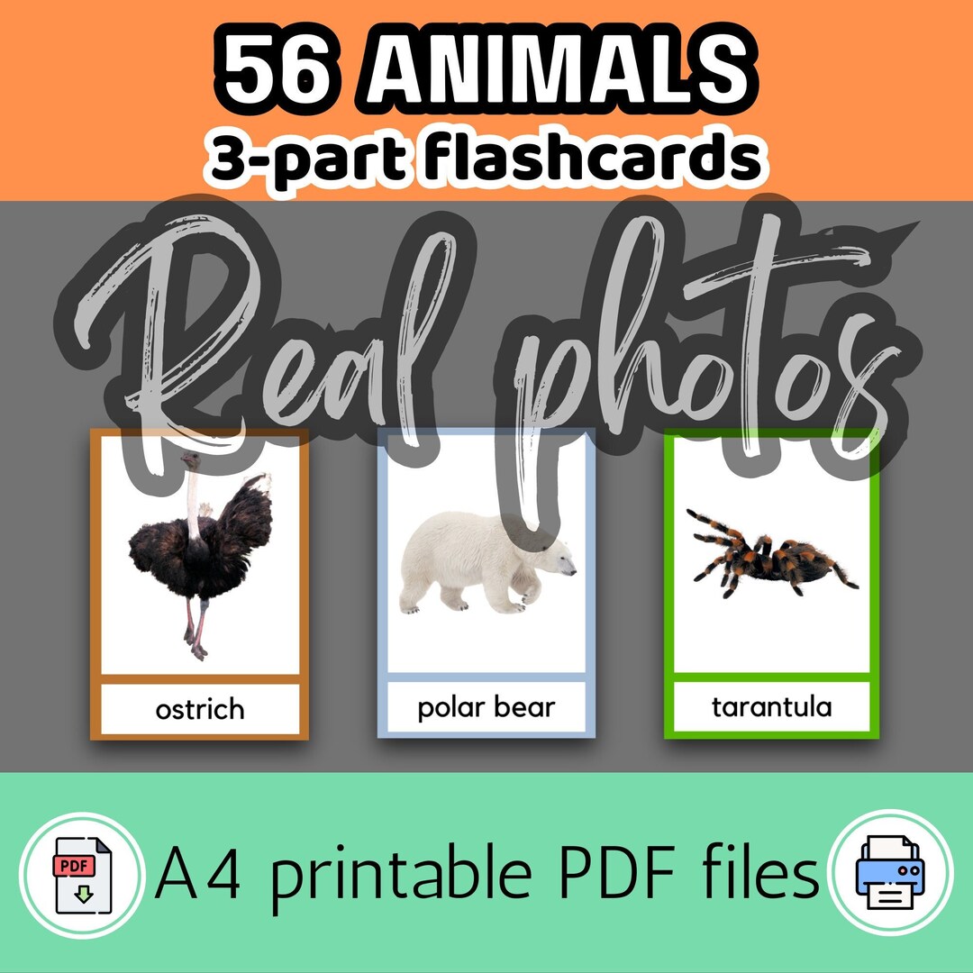 ANIMALS HABITATS Montessori 3-part Nomenclature Cards Homeschool ...