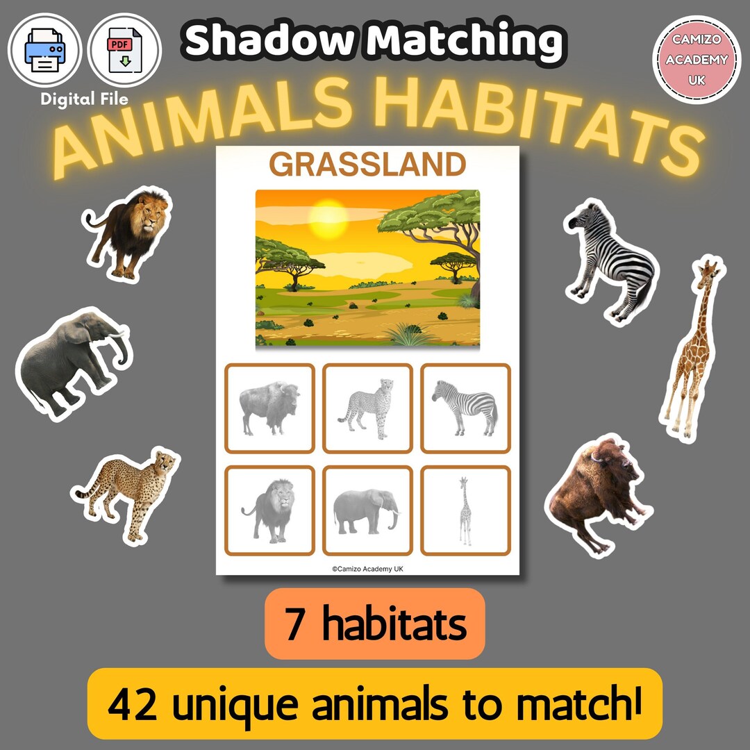 Animals Habitats - Shadow Matching - Worksheets for Kids | Homeschool ...