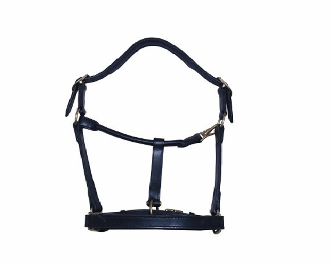 Genuine Top Grain DD Leather Halter With Soft Leather Padding With ...
