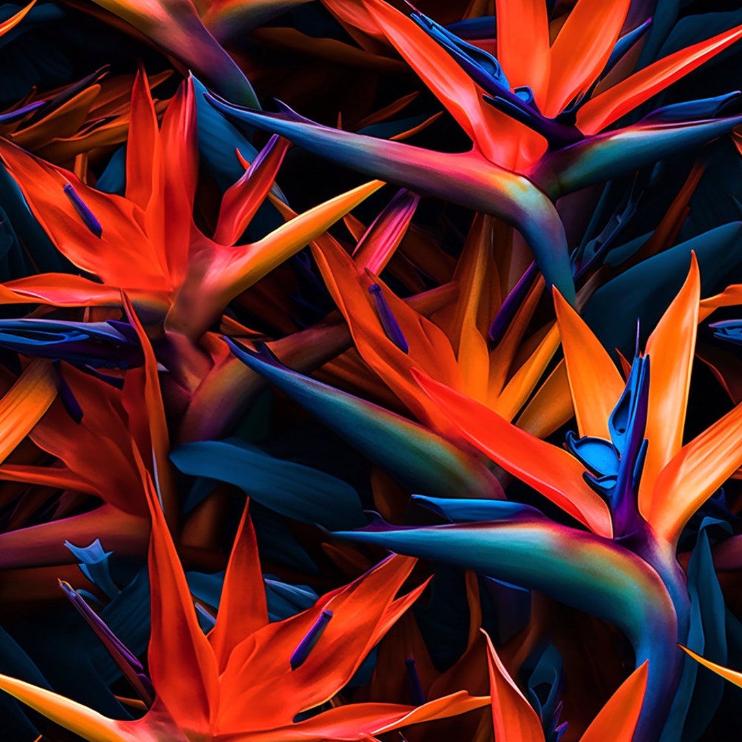 Tropical Bird of Paradise Flower Digital Repeating Pattern - Etsy