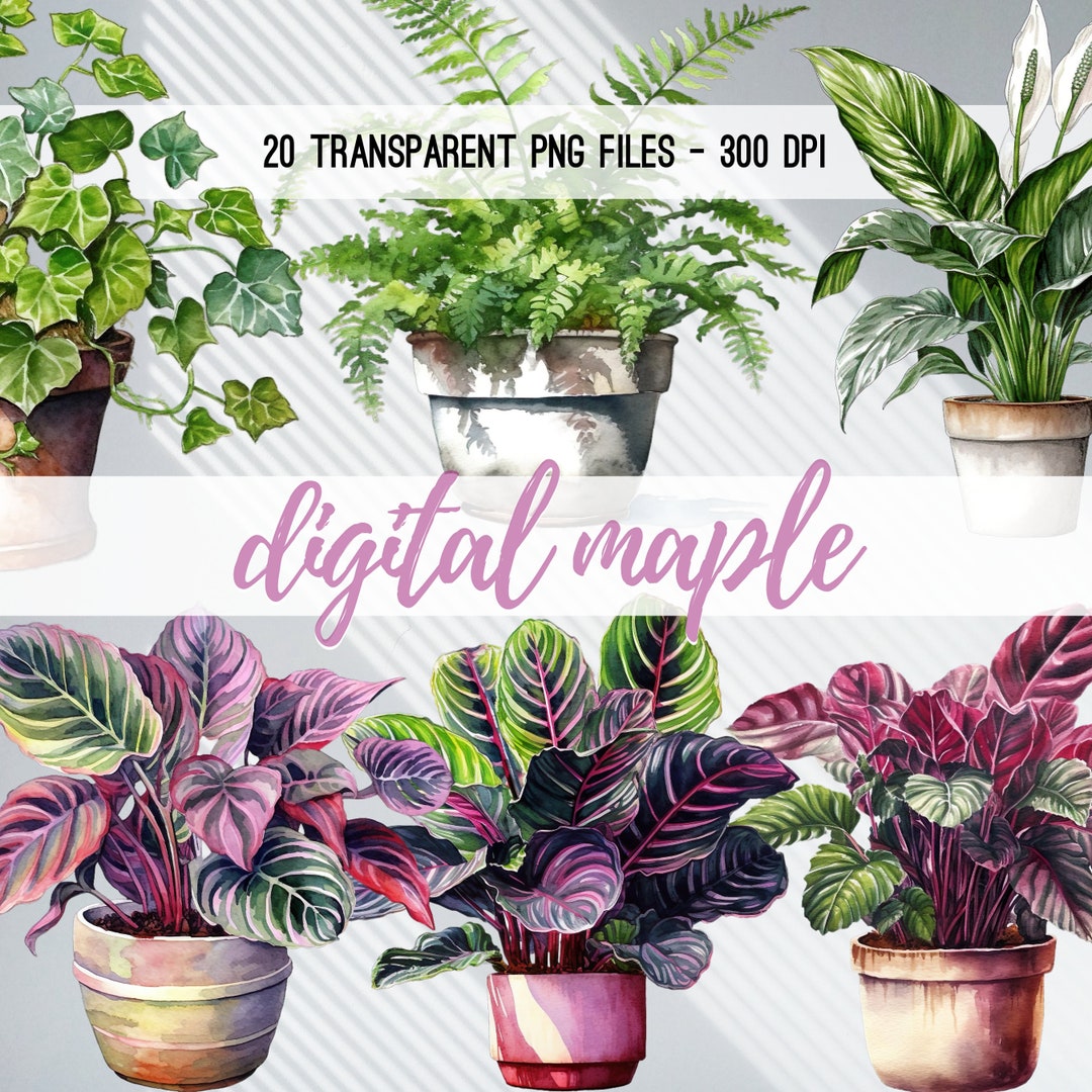 House Plants Clip Art Design Bundle, Printable Art Prints, Png Instant ...
