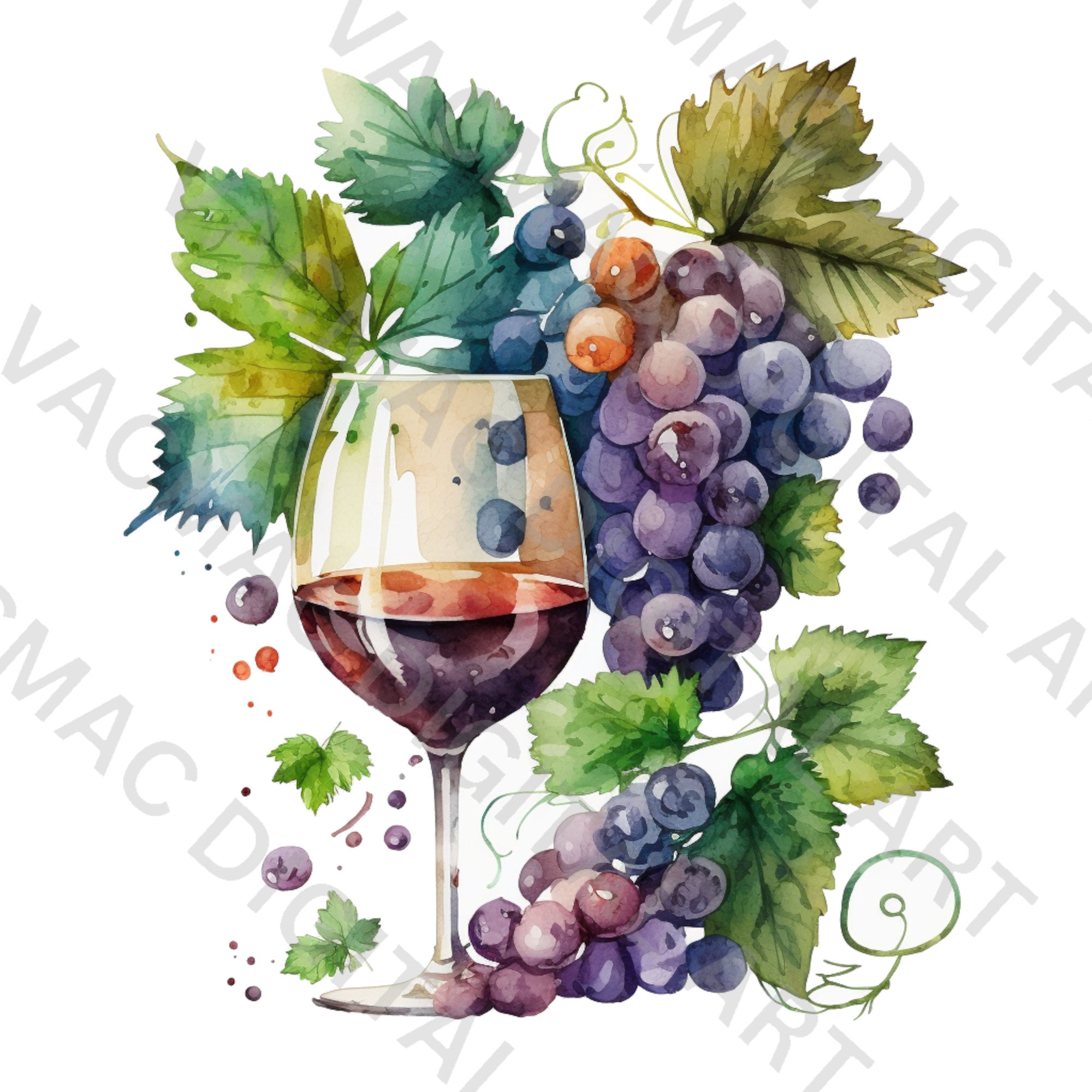 Grape & Wine Watercolor Clipart Set 60 PNG Images Digital - Etsy