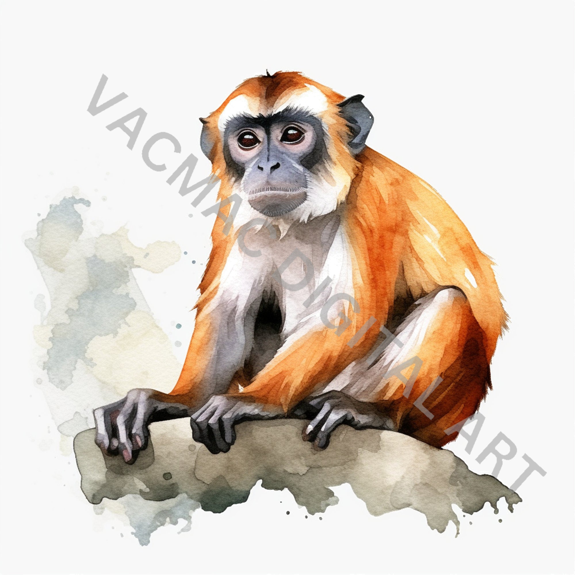 Monkey Ape Watercolor Clipart 65 PNG Images Digital - Etsy